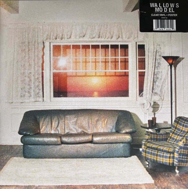 Wallows - Model (clear vinyl + poster) – Salvaje Music Store