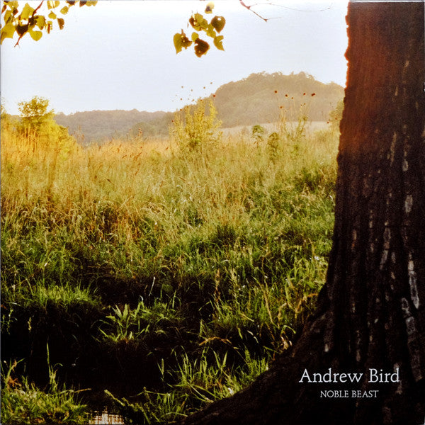 Andrew Bird - Noble Beast (2xLP, GF) – Salvaje Music Store